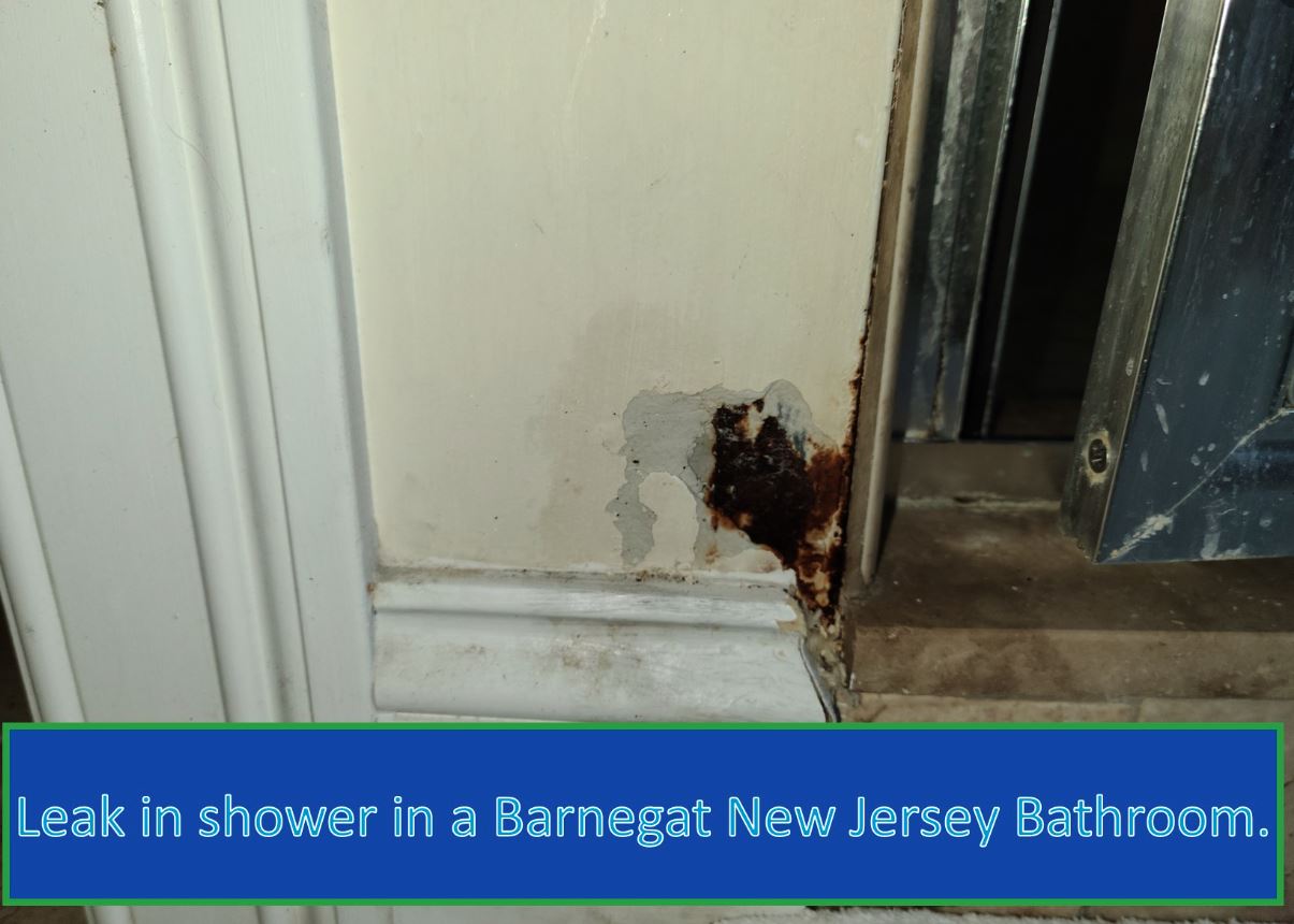 Mold Infestation And Moisture: Addressing The Source