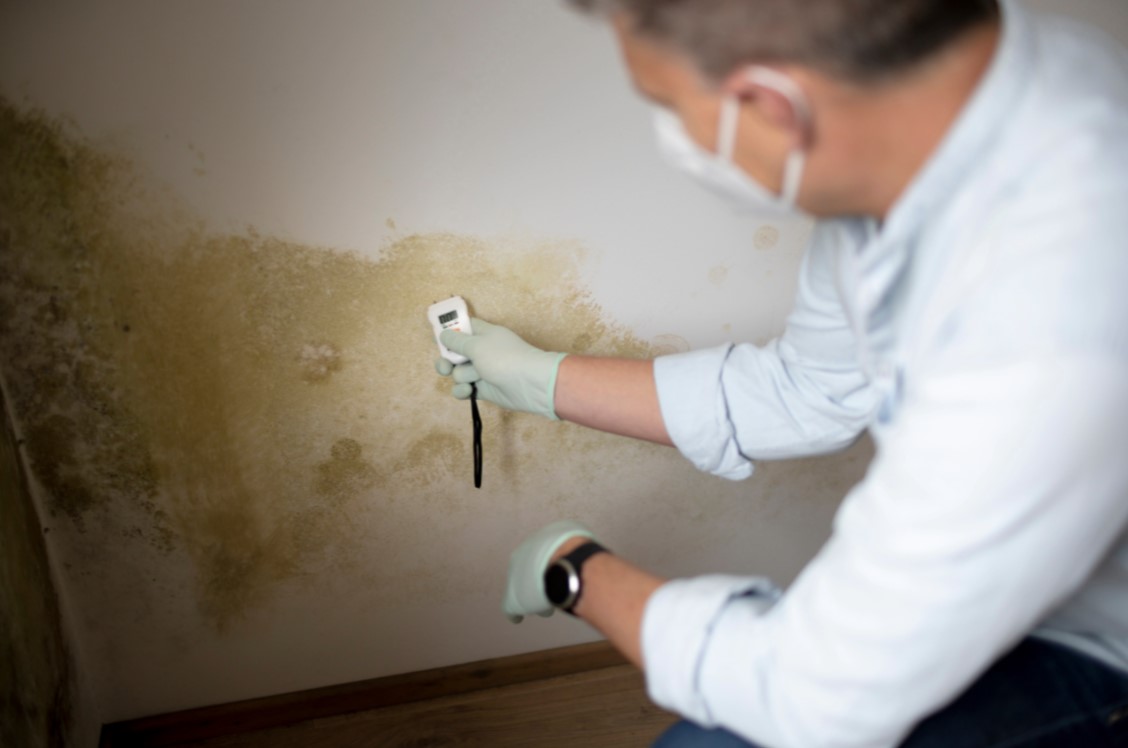 Why have mold clearance test after mold removal is complete?